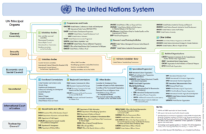 Introducing the United Nations – Patrick Manning